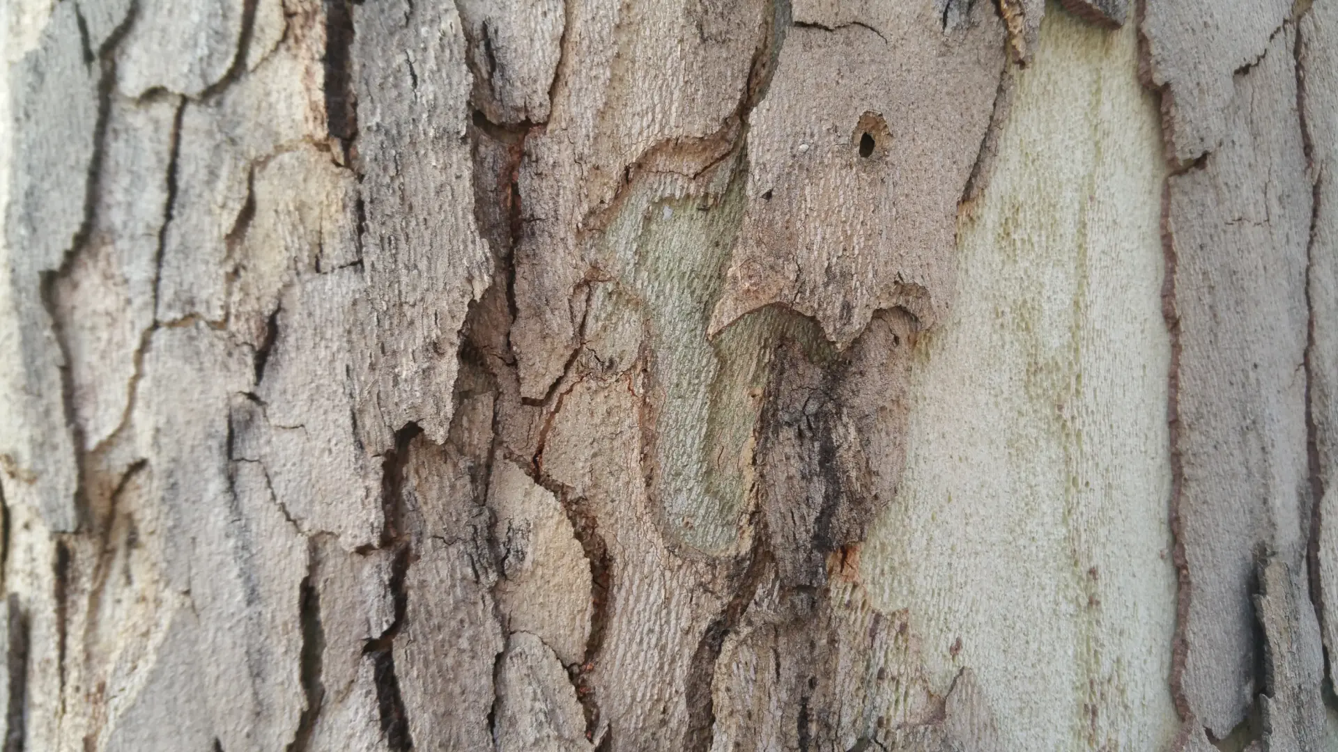 Samsung Galaxy Note Edge (Cámara)