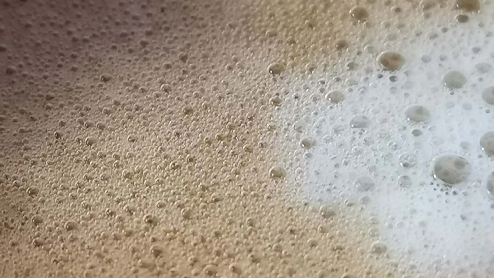 Fotos macro del Mate 20 X