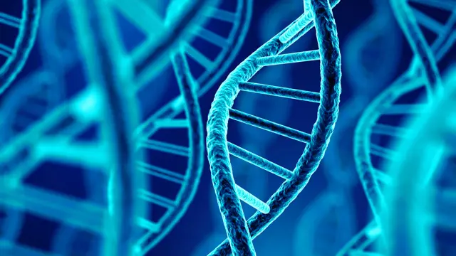 Un descubrimiento científico revela nuevos genes que demuestran que el ...